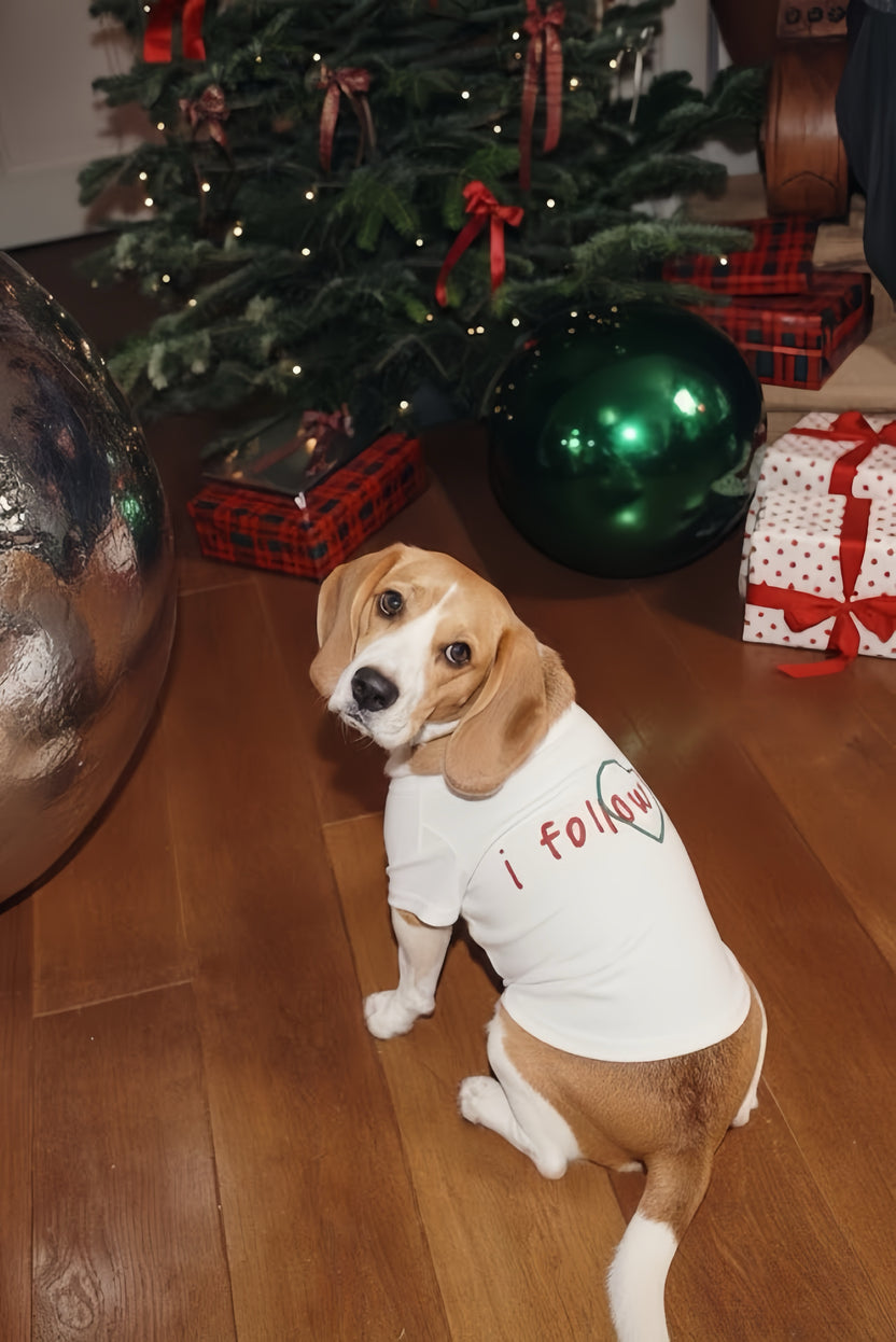 Toi et Moi Collection | Matching Pet & Human Looks | mmnb®