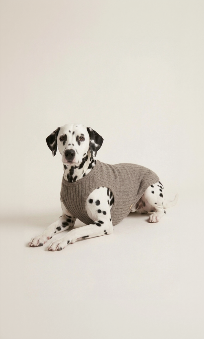 Toi et Moi Collection | Matching Pet & Human Looks | mmnb®